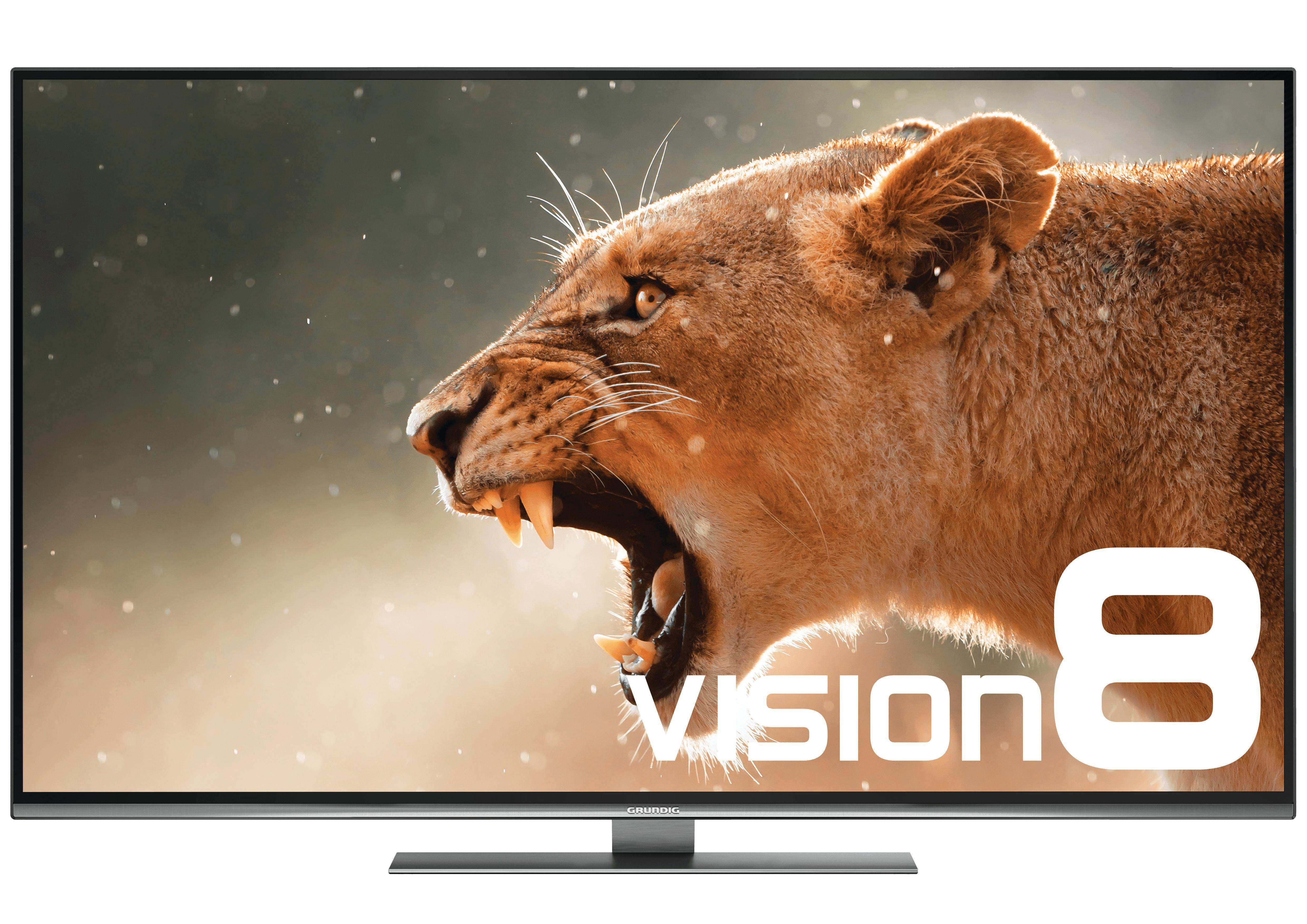 Grundig TV 40 VLX 8681